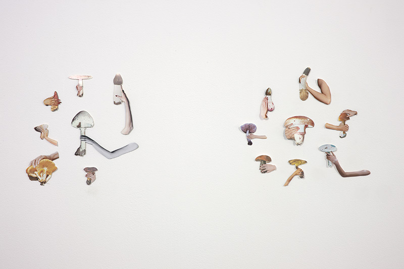 Mushrooms of North America/Vogue 2013 - yvonnemullock.com